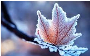 Lewisham Early Years - Wonderful Winter - Exploring, Creating, and ...